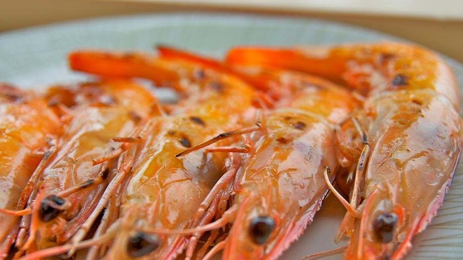 Eco-labelled King Prawn arrives in Europe | News | World Fishing