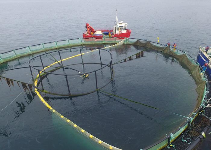 AKVA Group appoints new board chairman | News | World Fishing