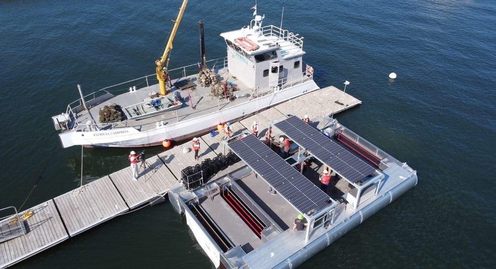Bringing new oyster farming equipment to the market | News | World Fishing
