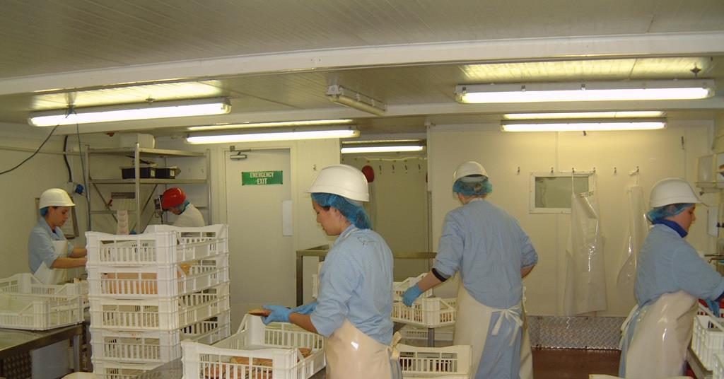 Looking to add value to crab shell waste | News | World Fishing