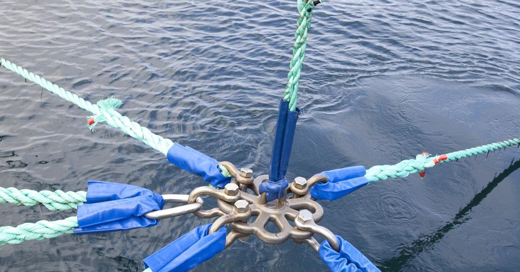 Tough lessons turn into top quality equipment | News | World Fishing