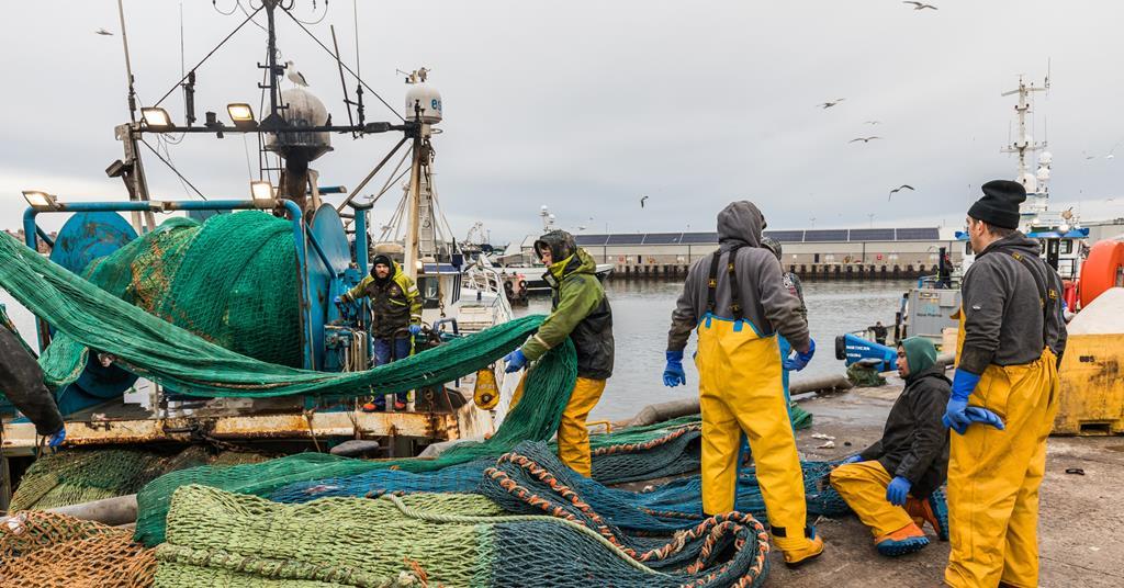 Labour shortage hits UK fishing | News | World Fishing