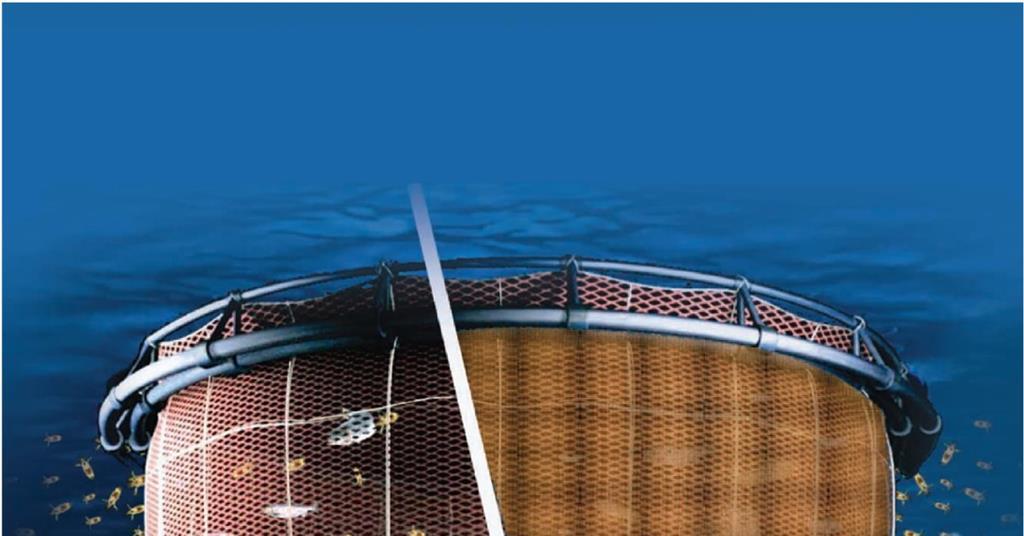 Aquaculture: Disease prevention without the chemicals | News | World ...