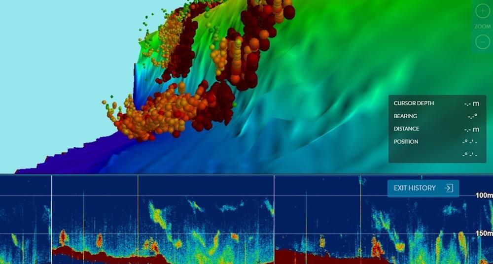 Better target detection with WASSP F3X | News | World Fishing