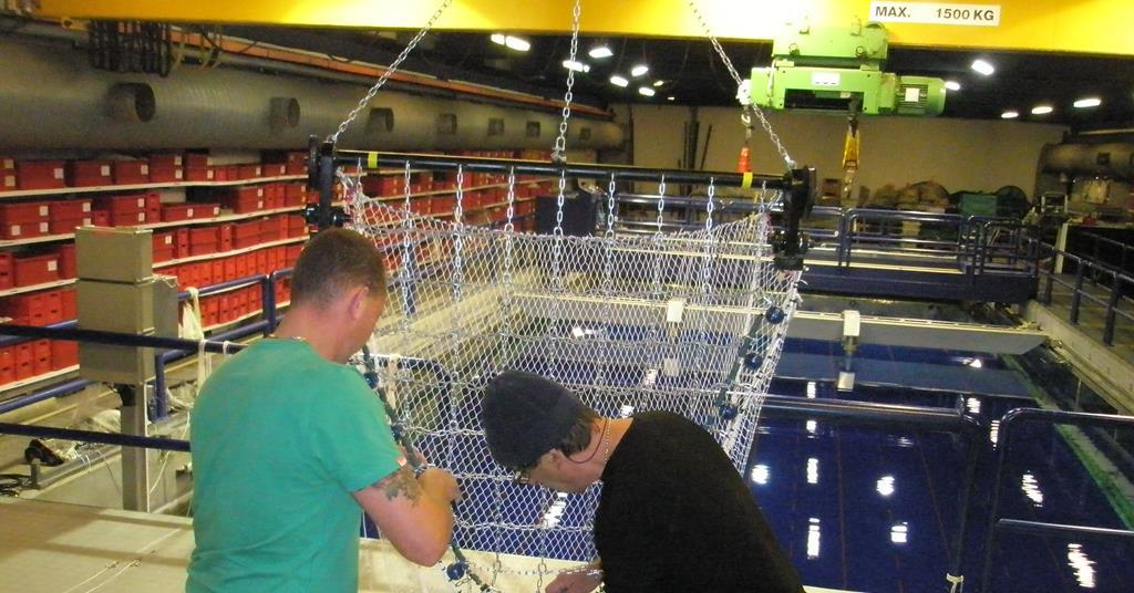 Seafish using Flume Tank for trawl gear training | News | World Fishing