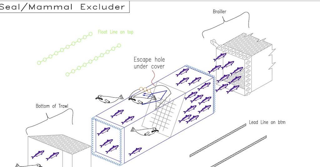 SNG introduces new Excluder | News | World Fishing