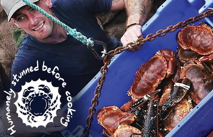 NESI re-enters shellfish category | News | World Fishing