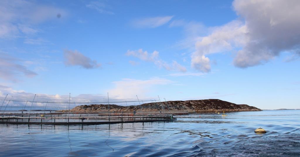 ASC consulting on farmed species extension to Atlantic cod | News ...