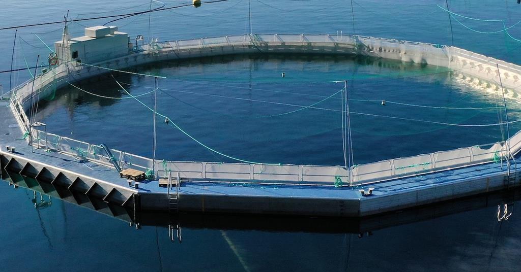 LLS applies to bring semi-closed fish farm tech to Scotland | News ...