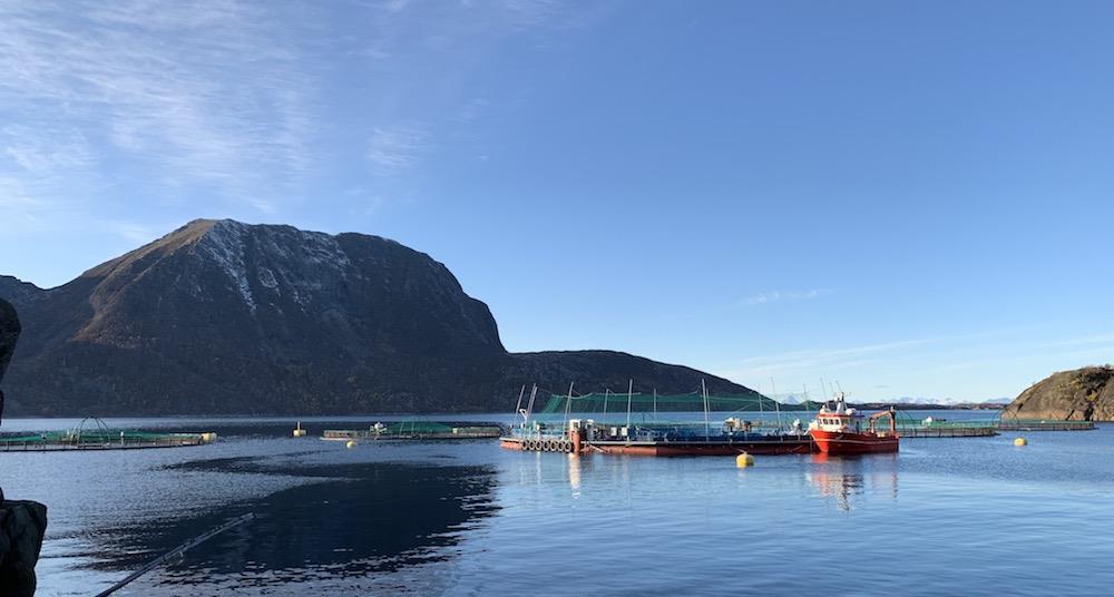 LLS applies to bring semi-closed fish farm tech to Scotland | News ...
