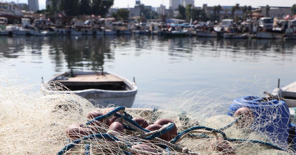 Lebanon looks to strengthen fisheries value chain | News | World Fishing