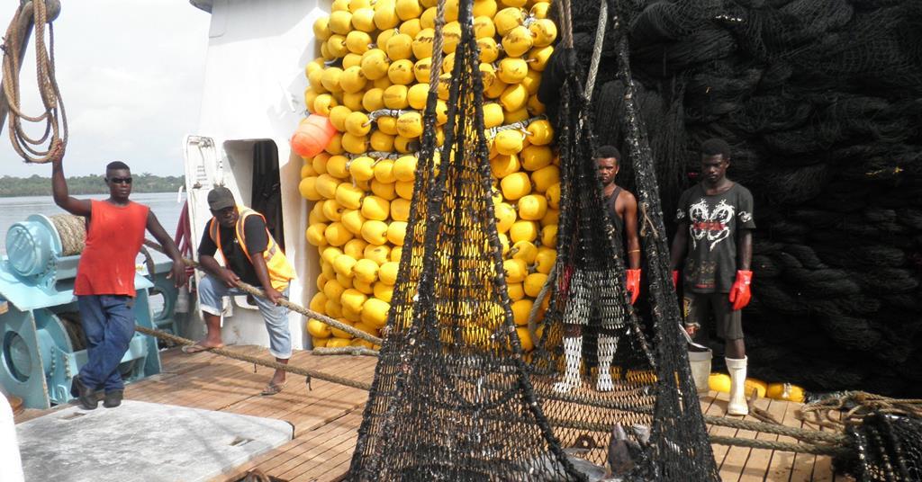Boosting tuna farming in the Solomons | News | World Fishing