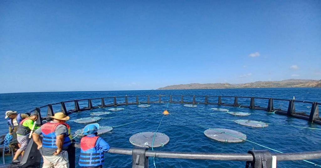 Biodegradable approach to tropical tuna fisheries | News | World Fishing