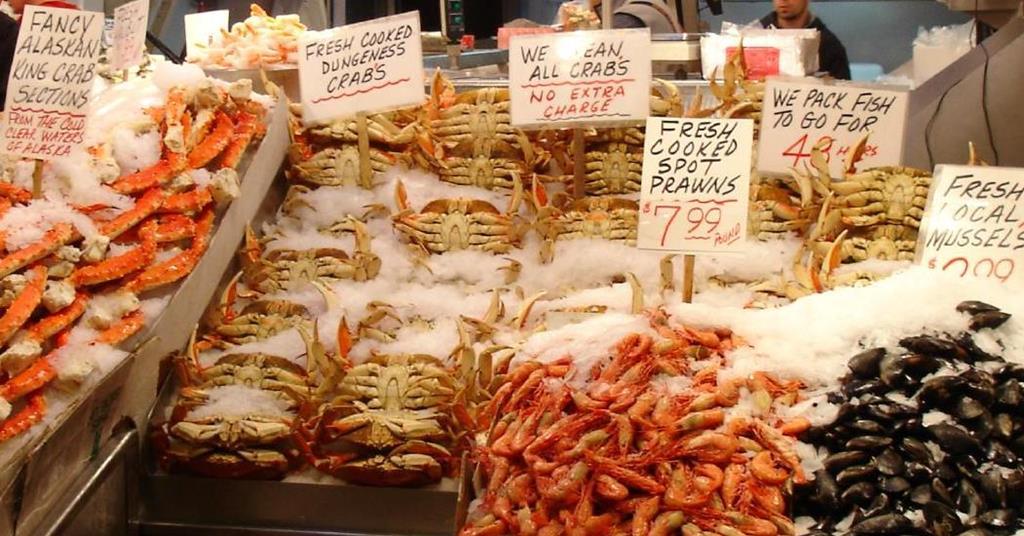 Nearly half of US seafood supply is wasted | News | World Fishing