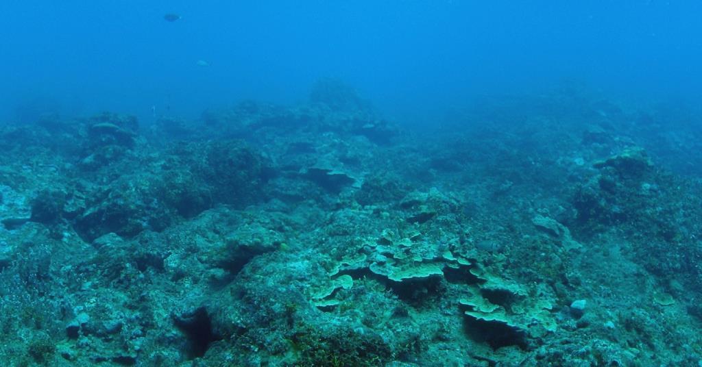 Worldwide overfishing continues | News | World Fishing