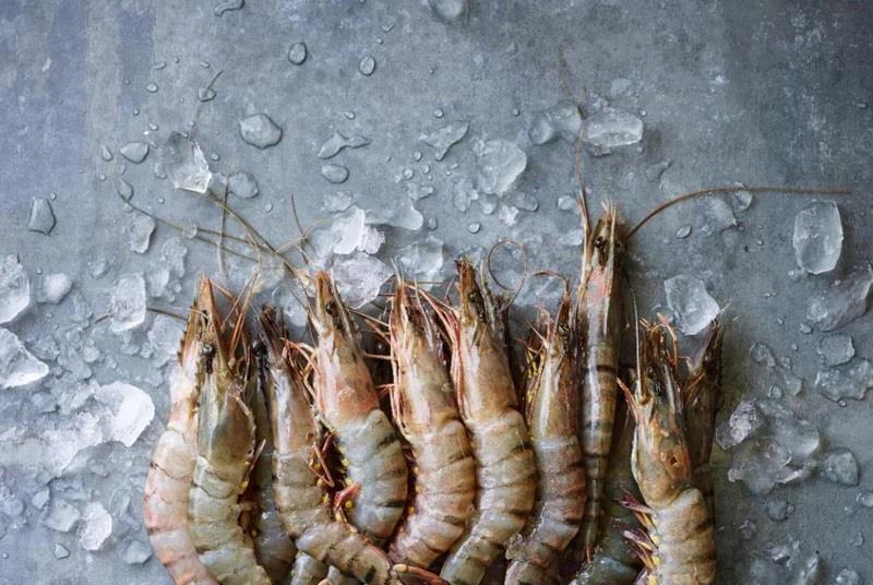 BAP certification for Sri Lankan shrimp plant | News | World Fishing