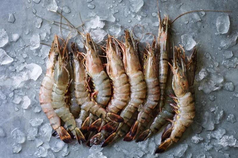 BAP certification for Sri Lankan shrimp plant | News | World Fishing