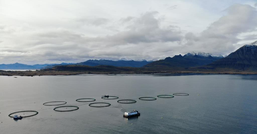 Ice Fish Farm edges closer to owning Laxar | News | World Fishing