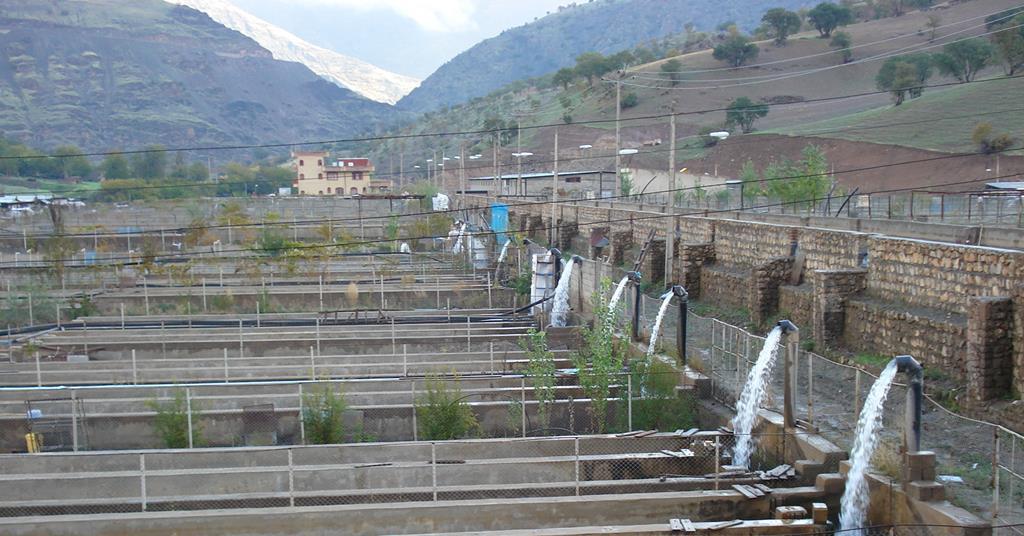 Iranian aquaculture on a pathway to growth | News | World Fishing