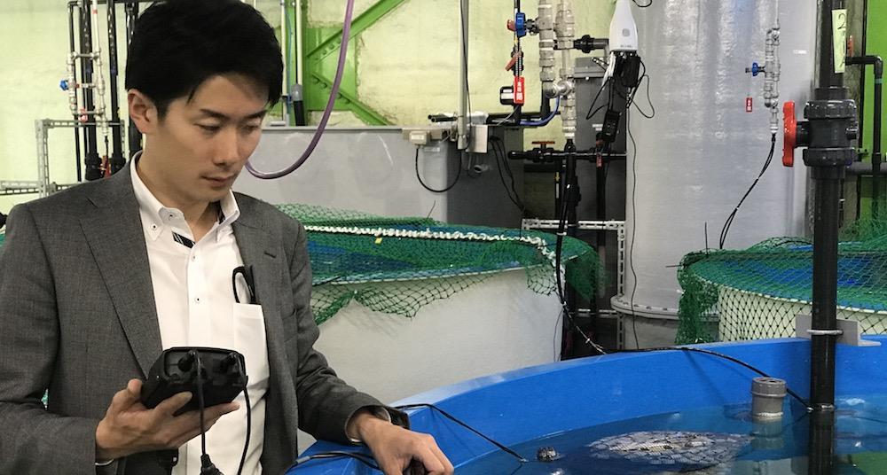 Japanese company spearheads land-based salmon farming | News | World ...