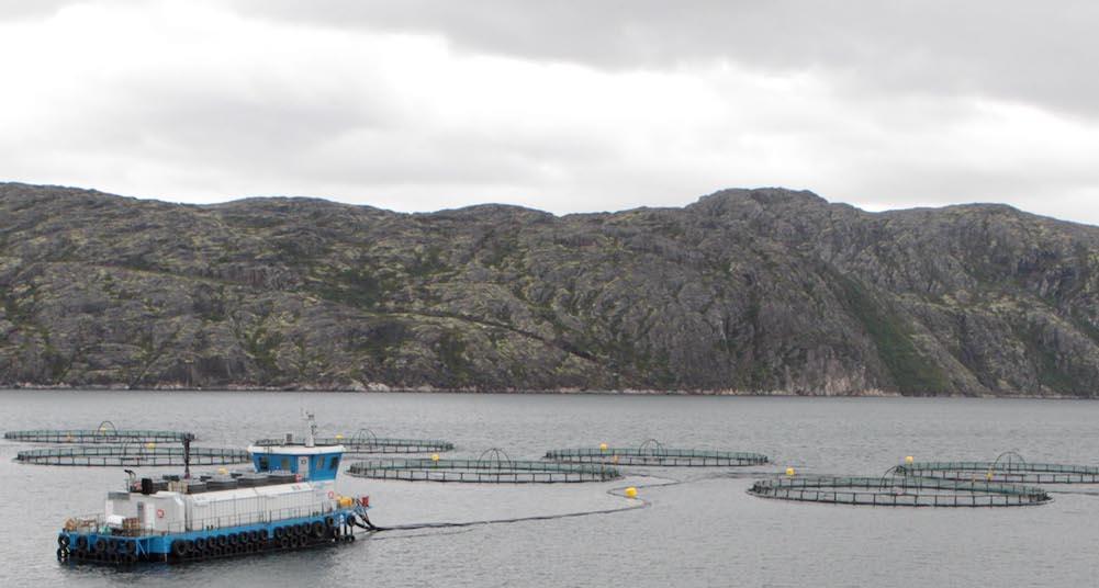 Russian Aquaculture, back on track | News | World Fishing