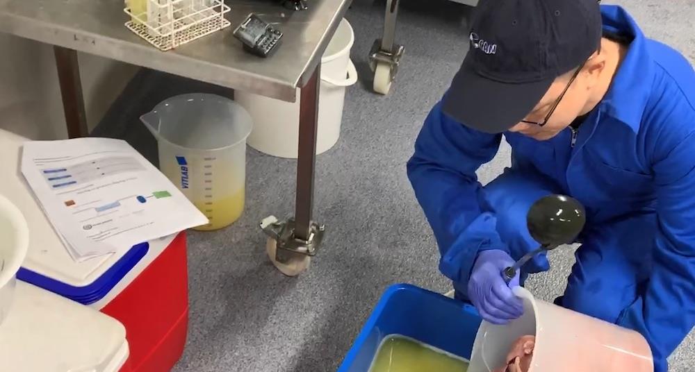 Dipping technology preserves side-streams | News | World Fishing