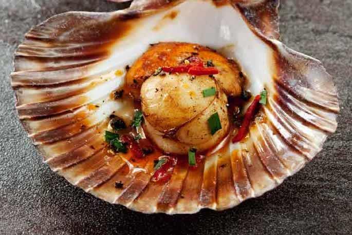 Aussie certified scallops | News | World Fishing
