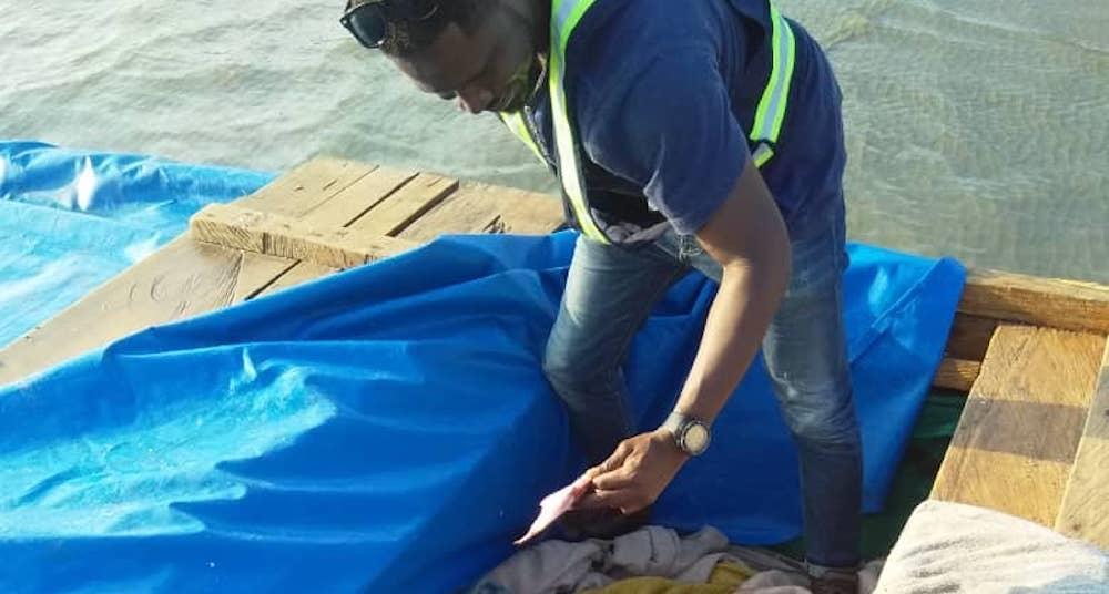 Ghana steps up fight against saiko | News | World Fishing