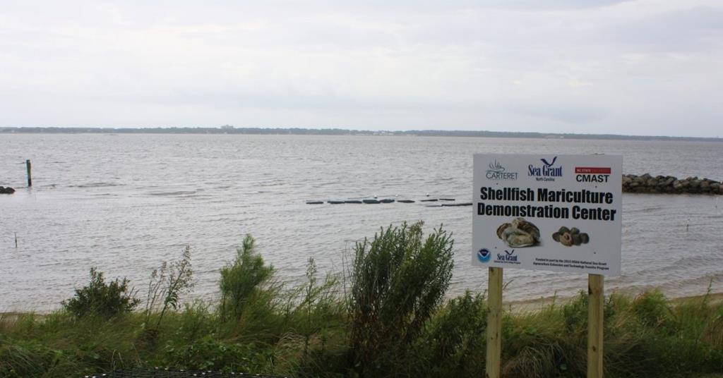 North Carolina launches shellfish initiative | News | World Fishing