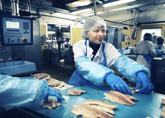 Danish Fish brand extends to farmed fish | News | World Fishing