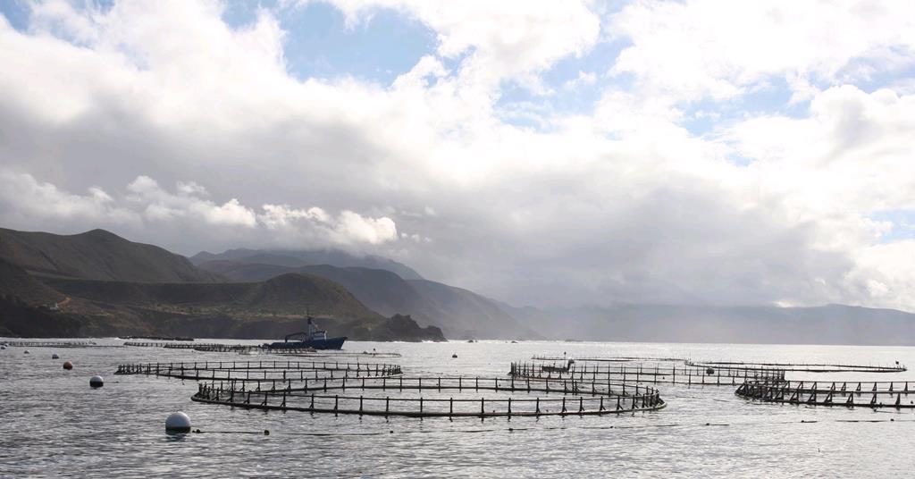 NOAA: Fish farms can be sustainable | News | World Fishing