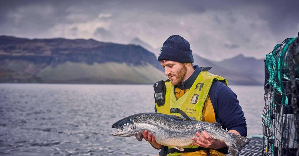 Bakkafrost reveals strong results in 2023 | News | World Fishing