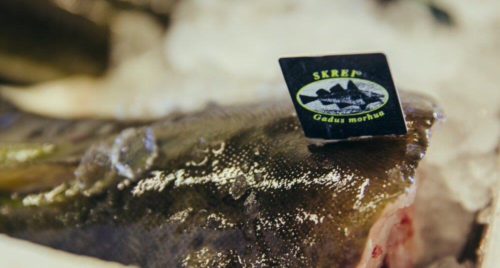 Skrei making headlines across Europe | News | World Fishing