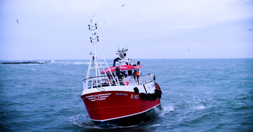 New tech takes prawn fishery closer to humane, automated tailing | News ...
