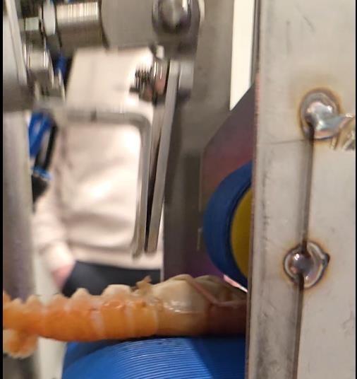 New tech takes prawn fishery closer to humane, automated tailing | News ...