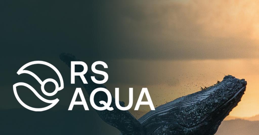RS Aqua wins funding to develop AI to protect marine mammals and the environment | RS AQUA ...