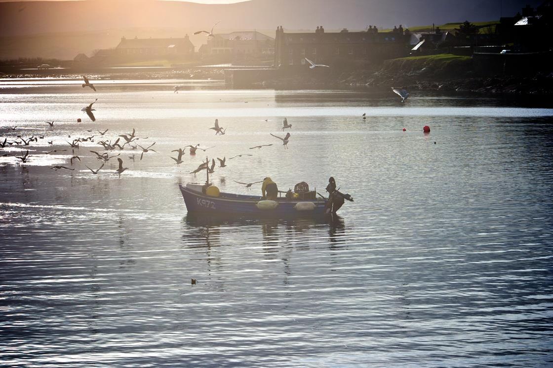 Community Catch certification aiming to transform small-scale fisheries ...