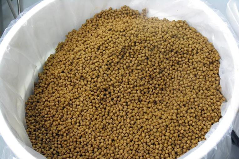 Feed contamination risks escalate | News | World Fishing