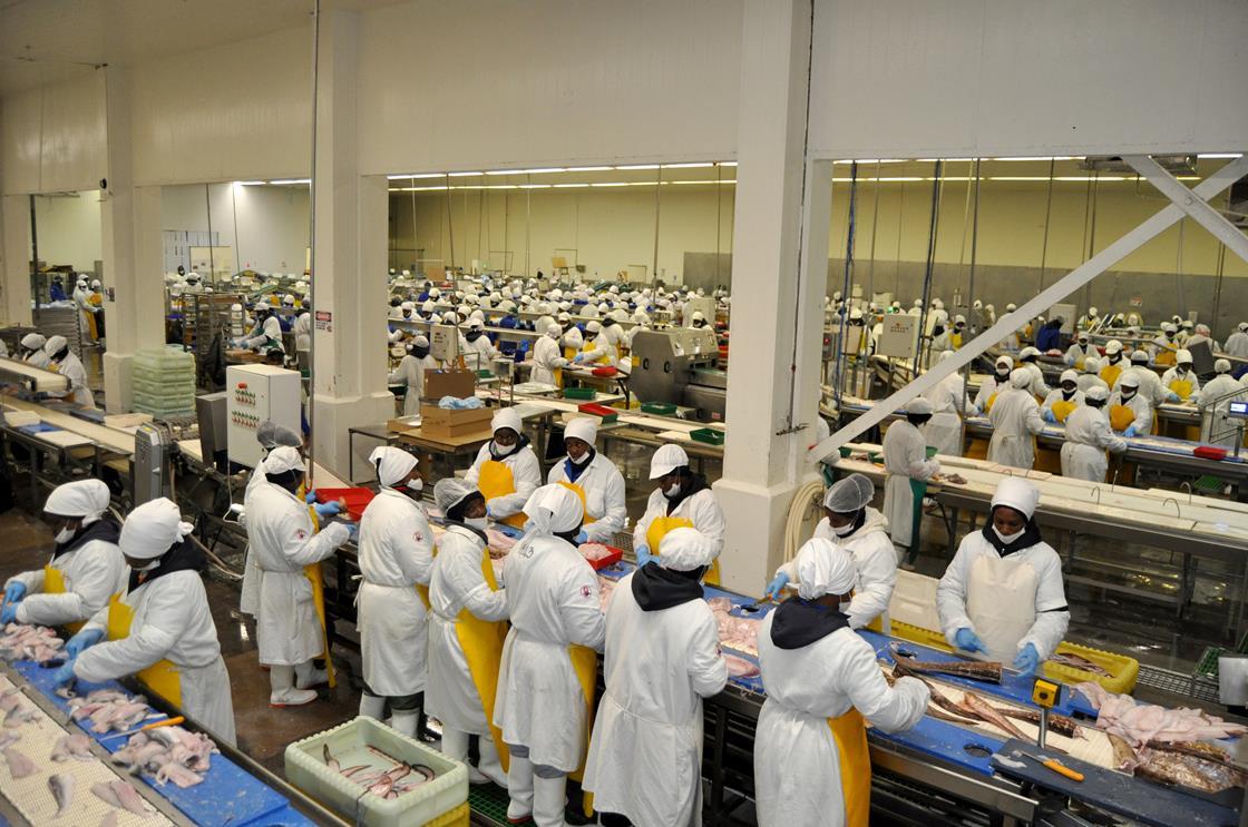 From fish waste to future wealth: Namibia’s fisheries collaborate on ...