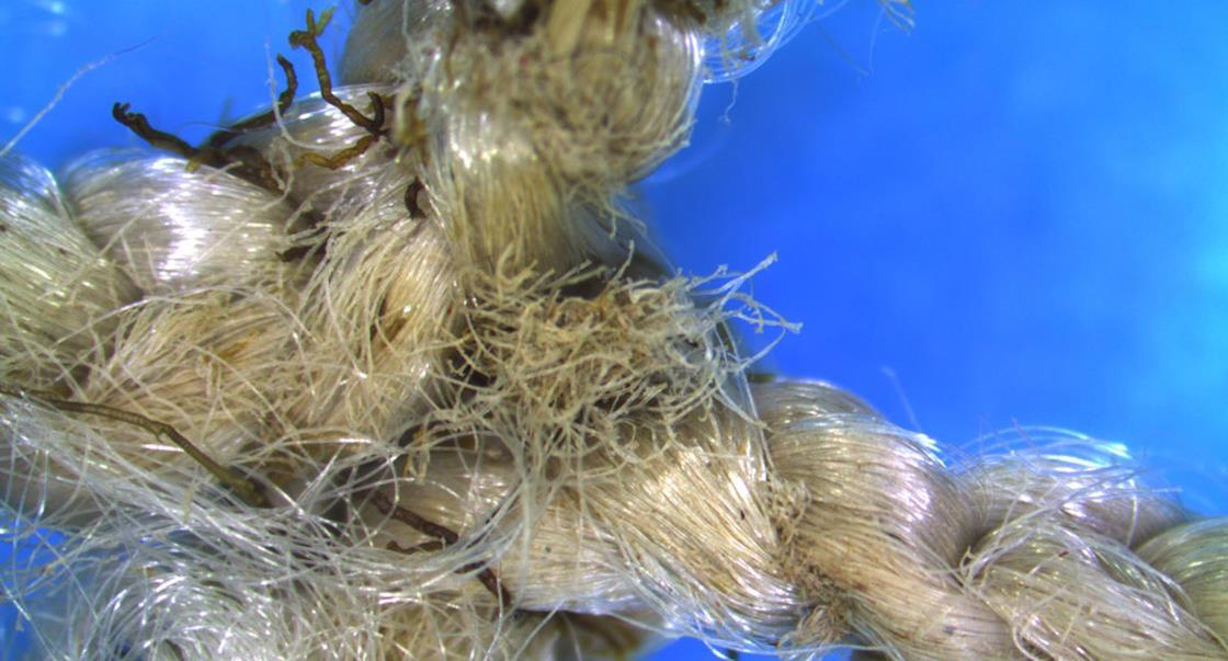 SINTEF: Net materials, cleaning methods can dramatically cut ...