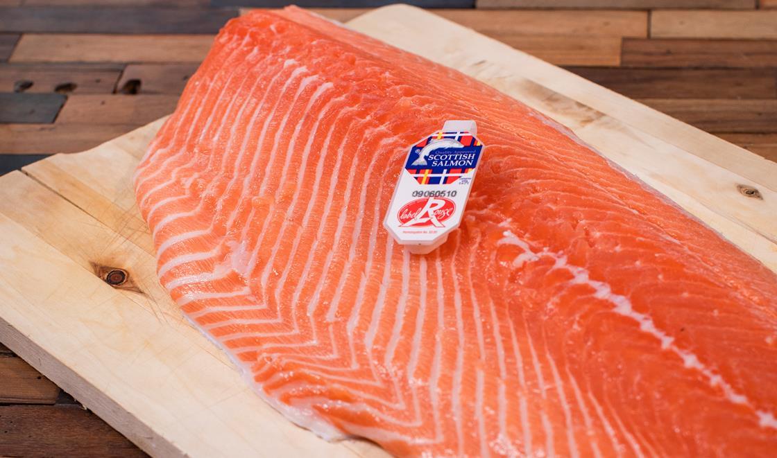 Export plans outlined for Scottish salmon | News | World Fishing