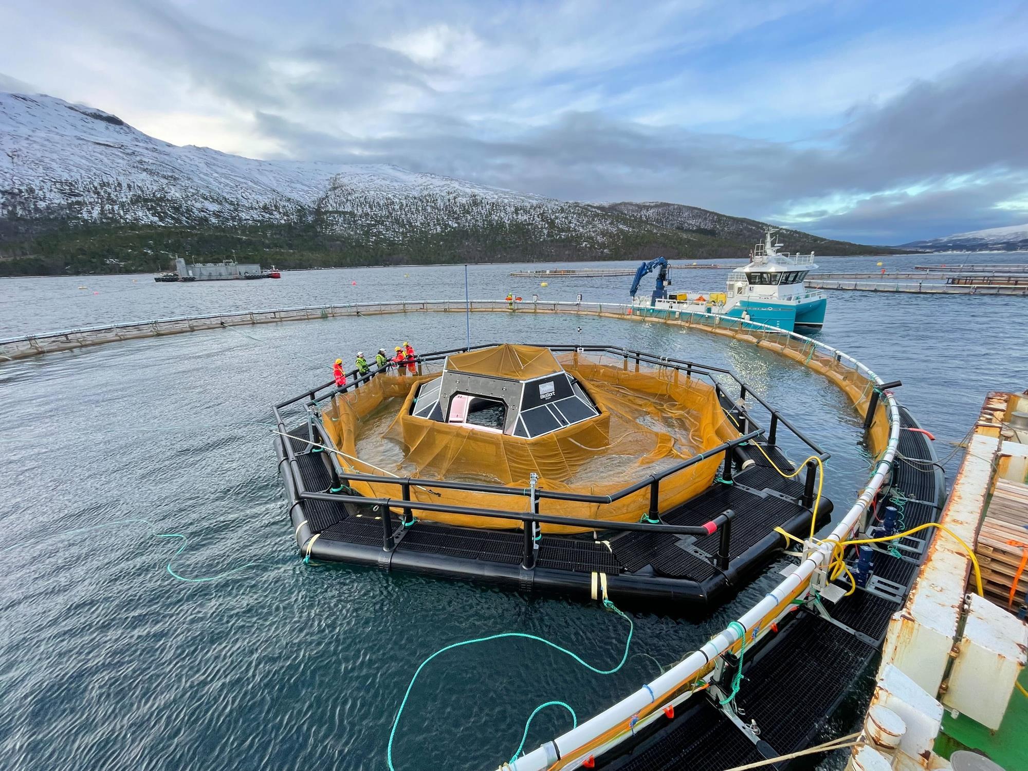 Ifarm Will Transform Fish Farming From Stock Management To Vertical