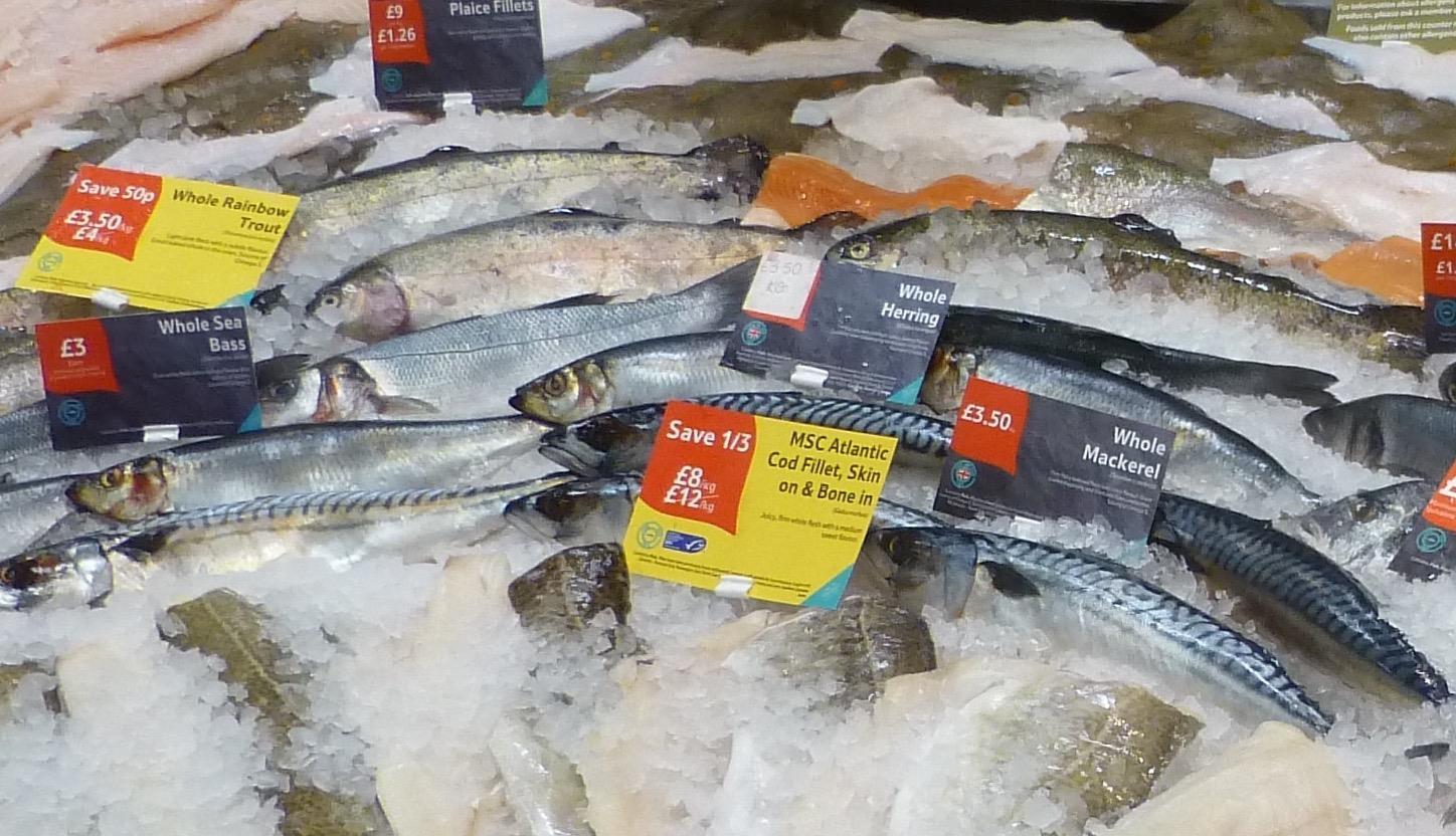 tesco robo fish