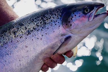 Hybrid flow-through systems: A boost for farming biosecurity | News ...