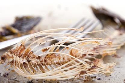 Home | World Fishing